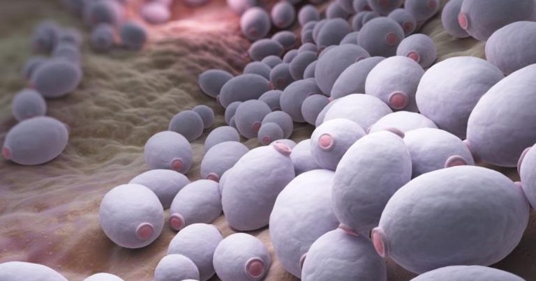 Oral Thrush Lozenges